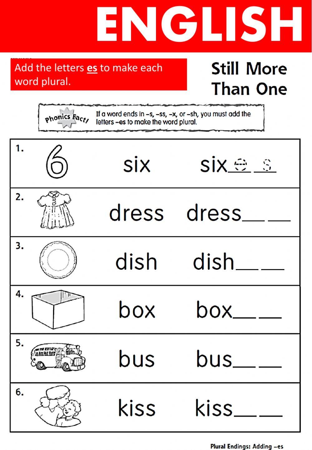 Plurals -s and -es worksheet | Live Worksheets
