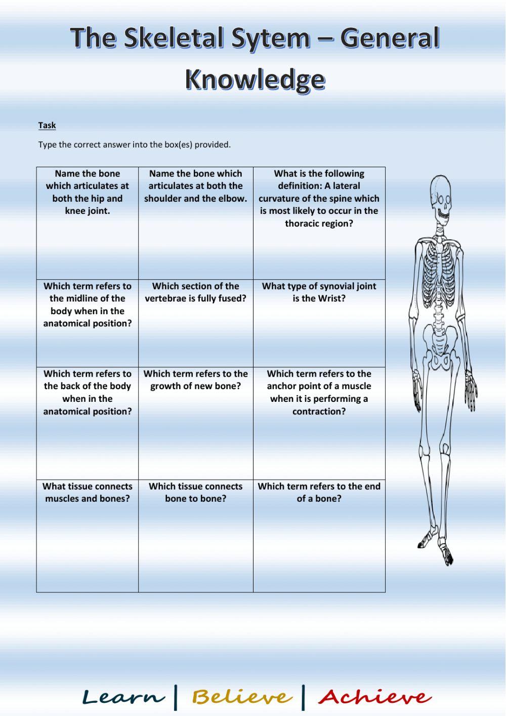 The skeletal system -general knowledge worksheet | Live Worksheets