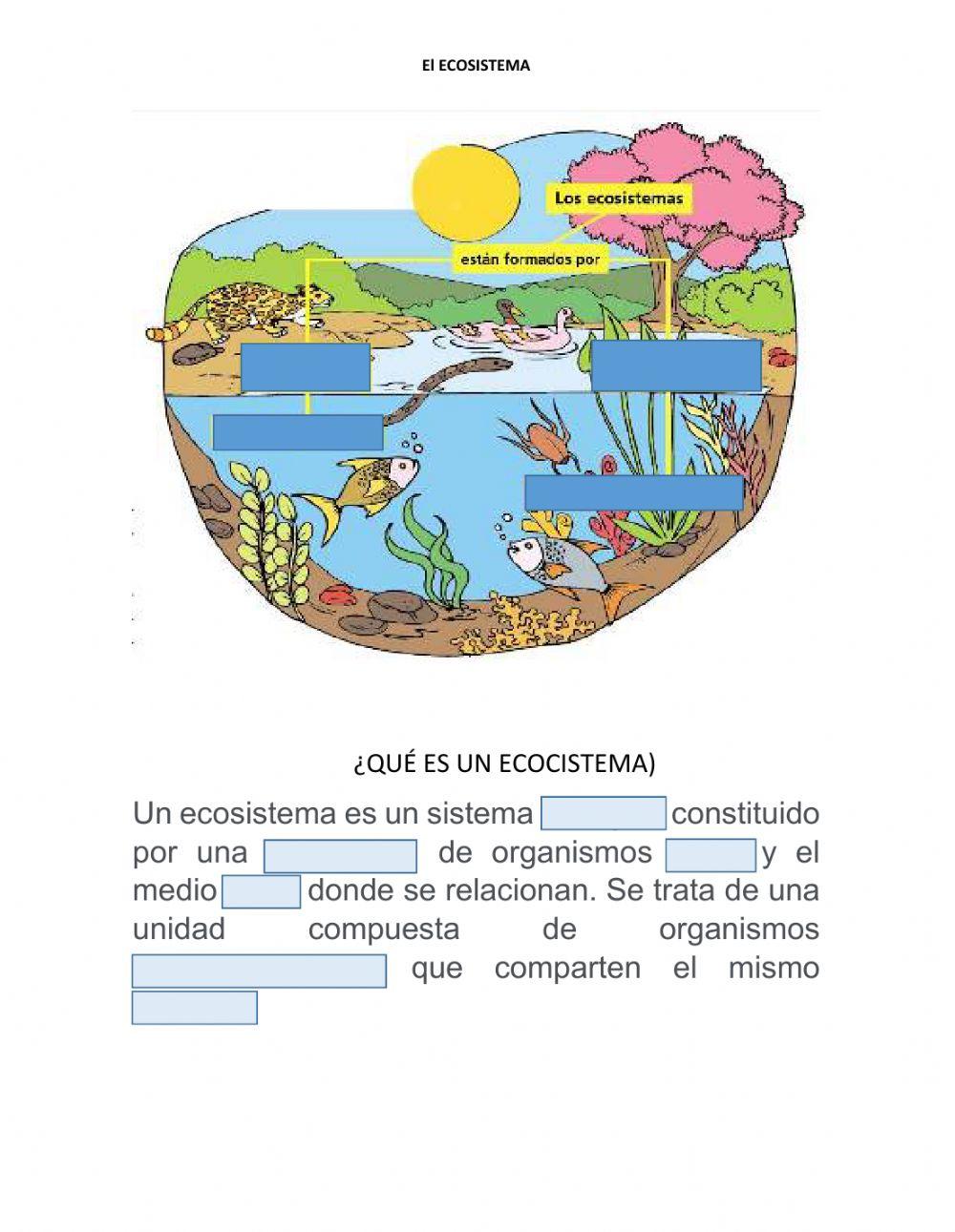 Seres Vivos Y Ecosistemas Interactive Worksheet Image
