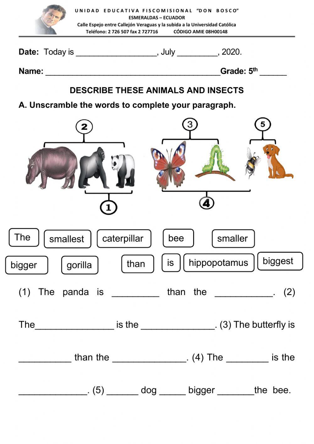 DESCRIPTIONS online worksheet for 5TH | Live Worksheets