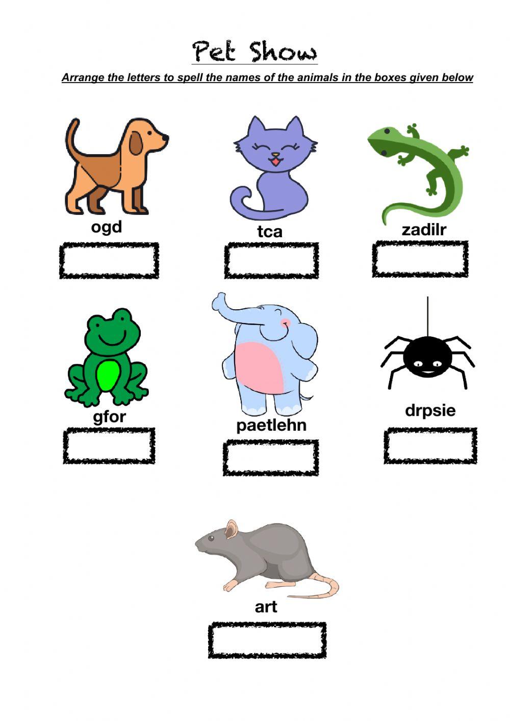 Pet Show: Arrange Me Right! worksheet | Live Worksheets