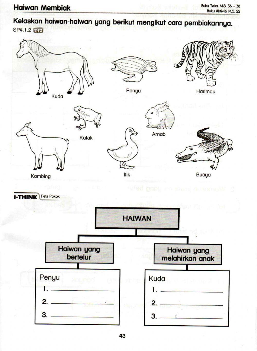 Sains tahun 2 minggu 25 worksheet | Live Worksheets