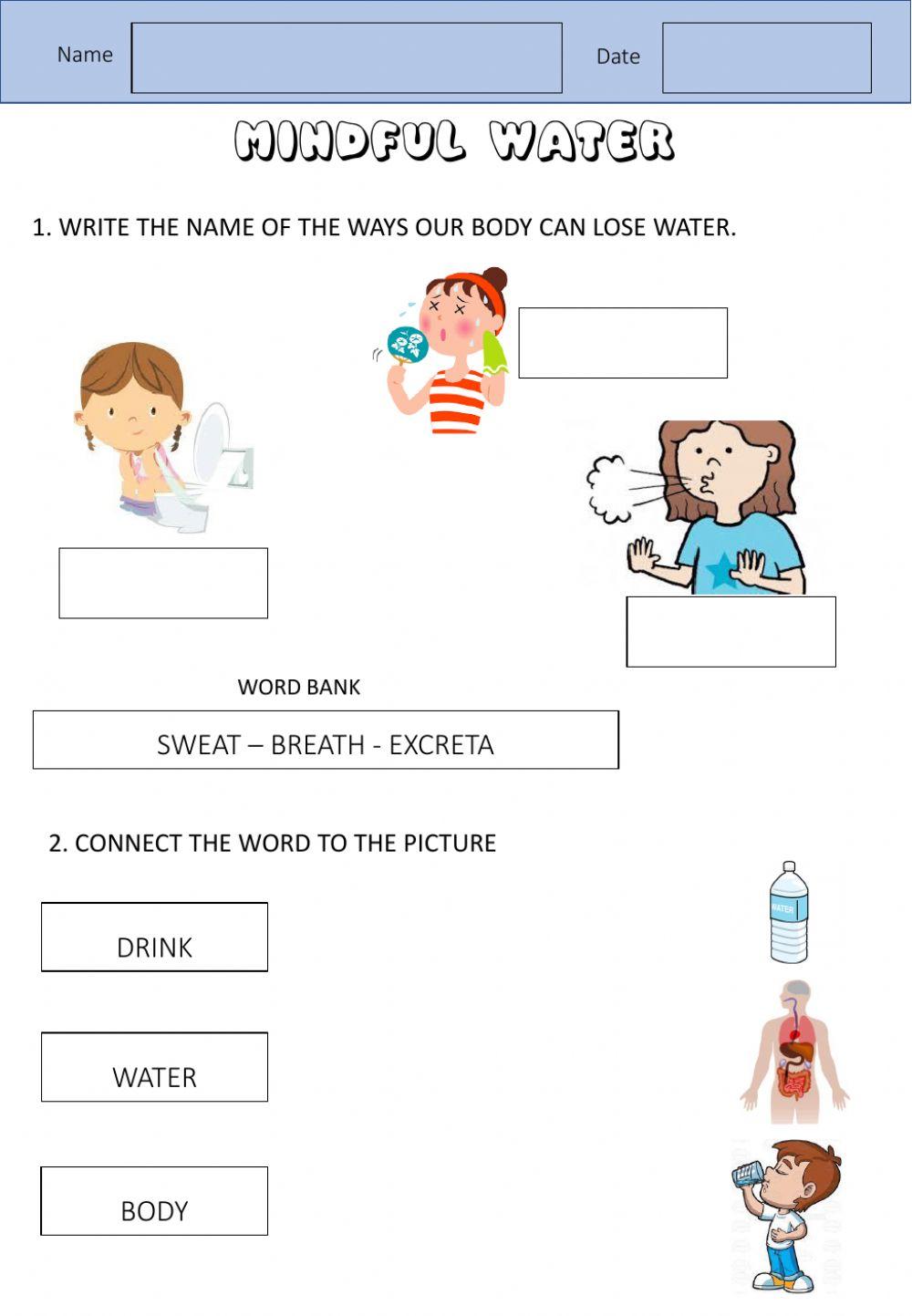 Water to the body worksheet | Live Worksheets