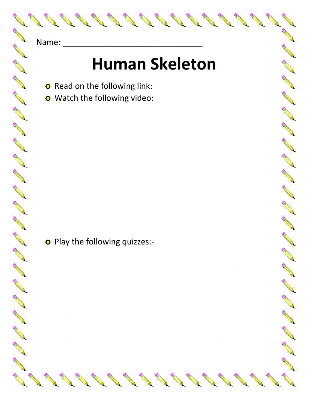 Human Skeleton | Free Interactive Worksheets | 299208
