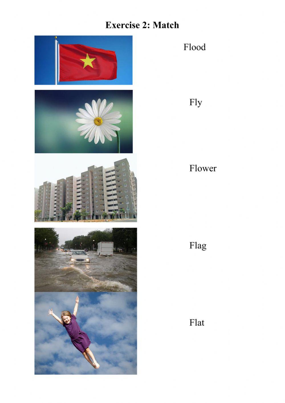 Basic 2012 - unit 11 worksheet | Live Worksheets