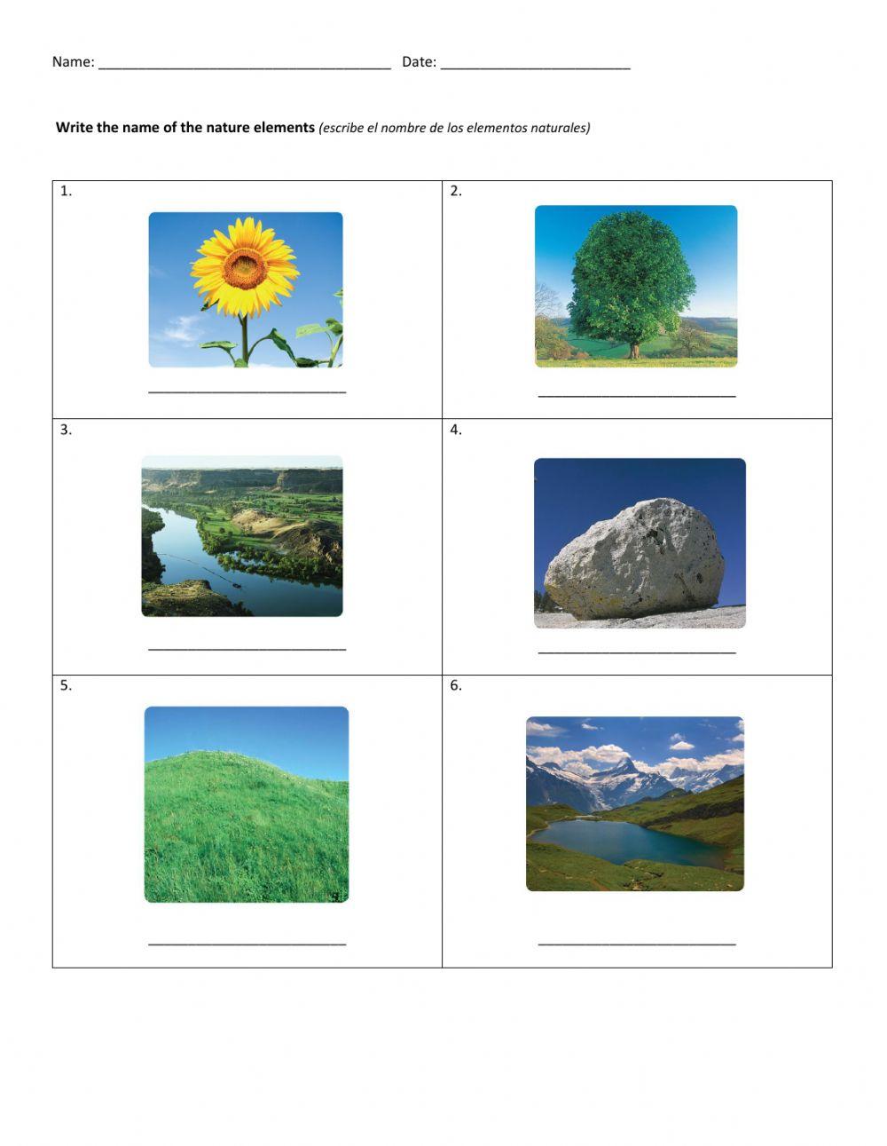 Kids 2 Unit 5 Nature worksheet | Live Worksheets