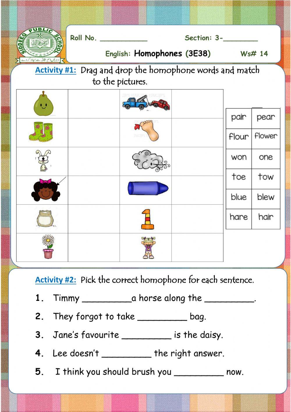 E38 Homophones online exercise for | Live Worksheets