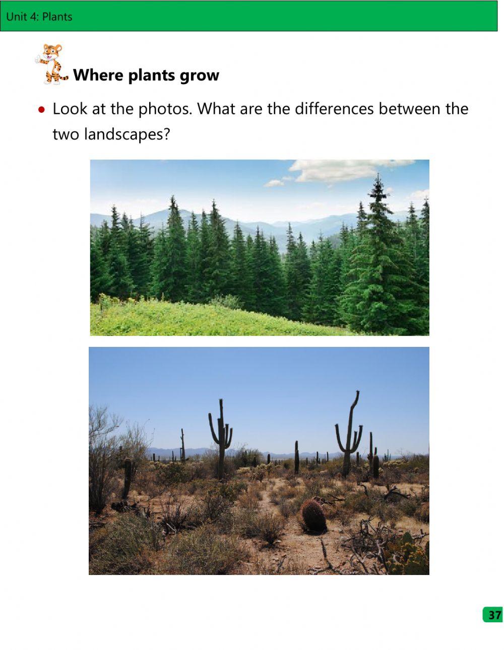 Where plants gr… | Free Interactive Worksheets | 325824