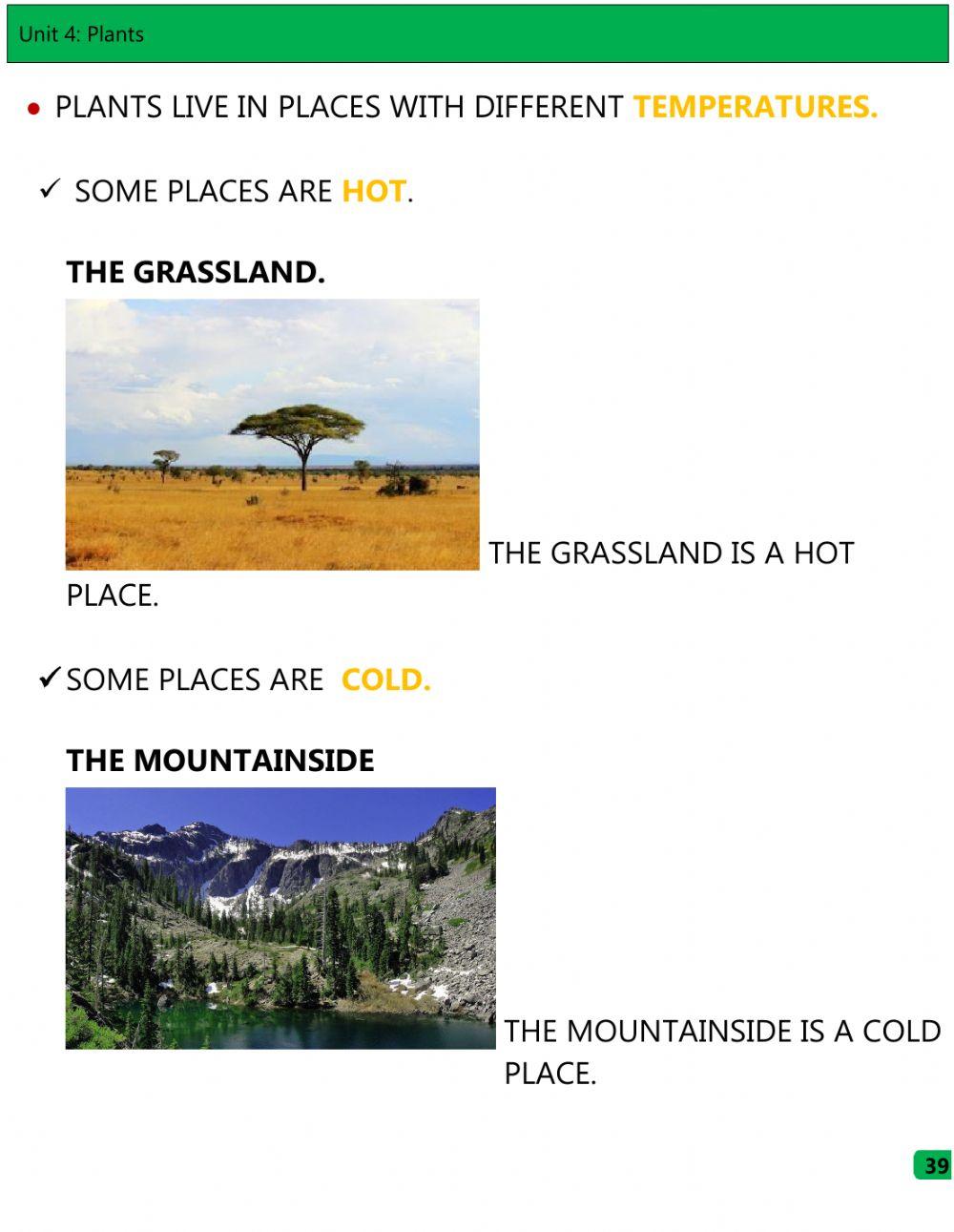 Where plants gr… | Free Interactive Worksheets | 325824