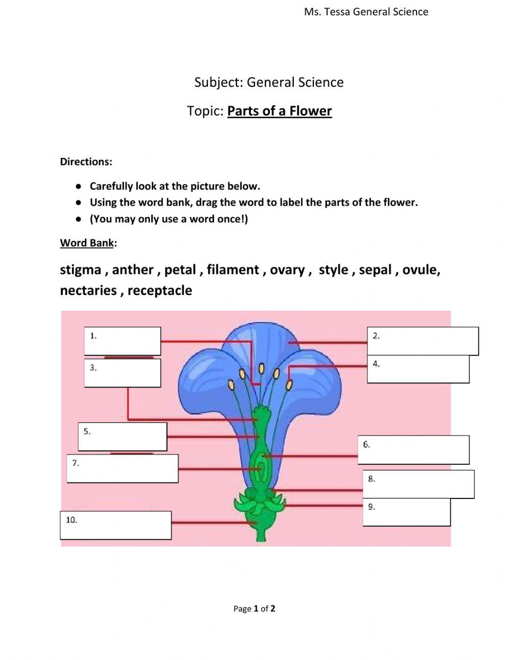 Science Test Wo… | Free Interactive Worksheets | 5939629