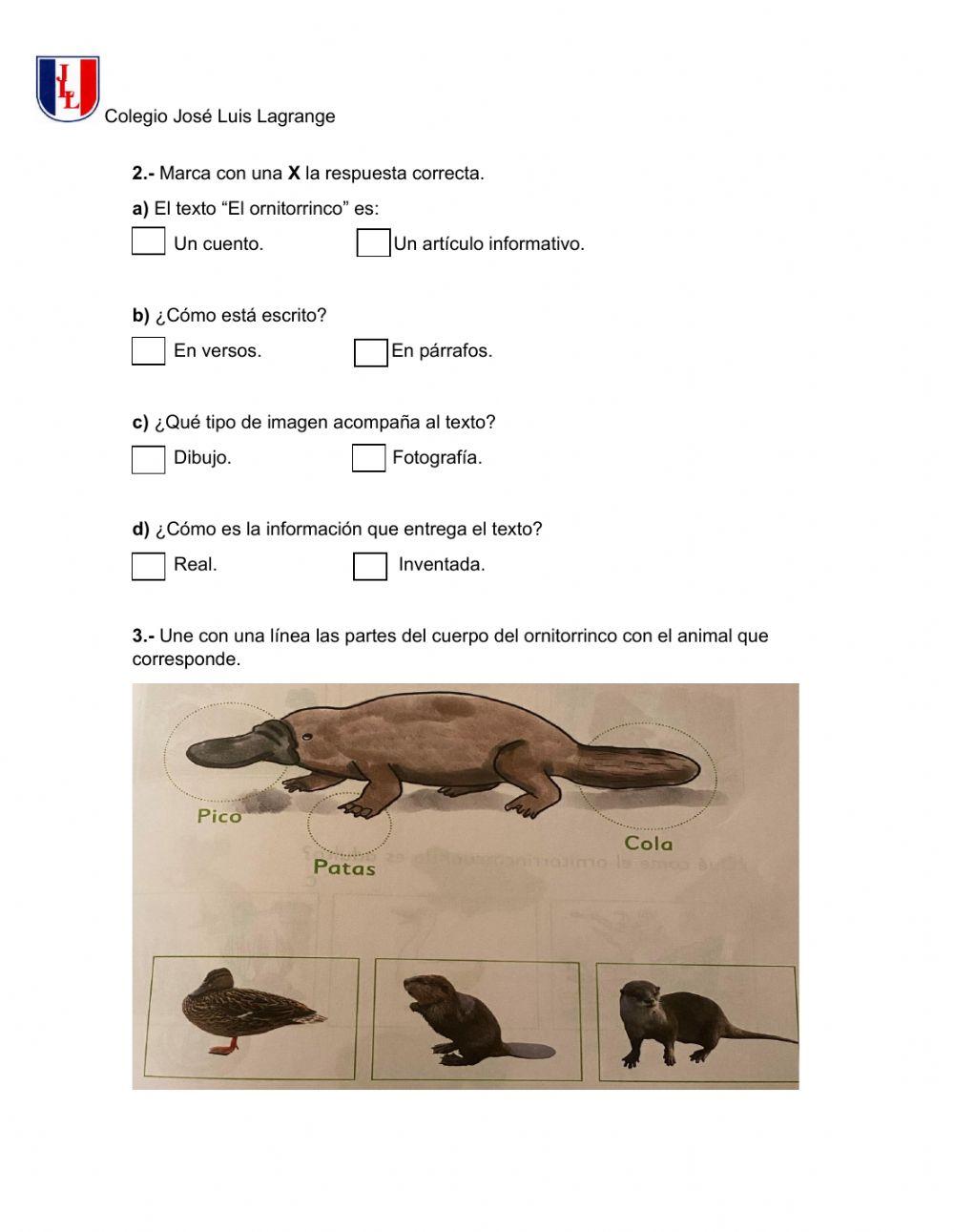Lenguaje nº32 interactiva worksheet | Live Worksheets