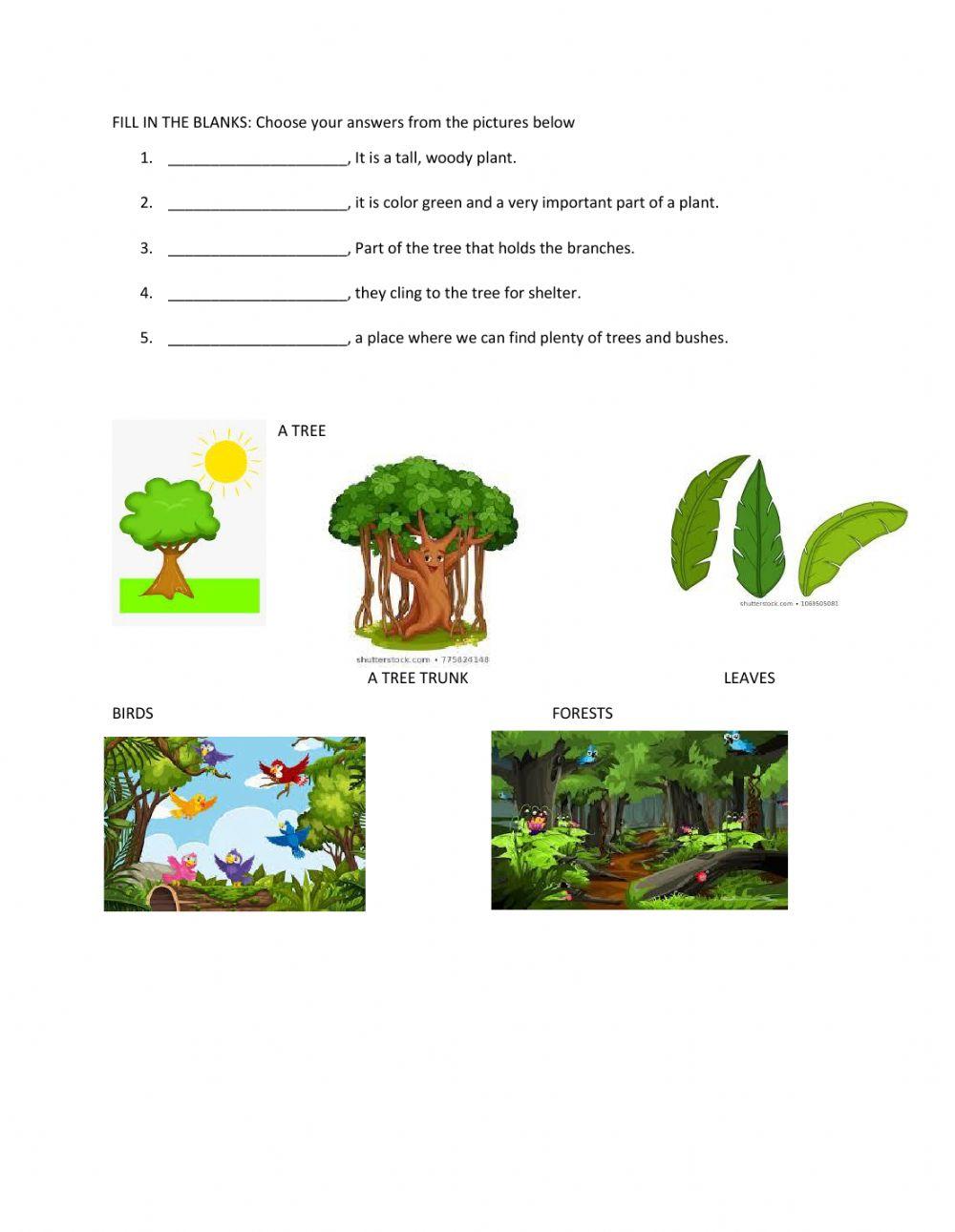 A tree worksheet | Live Worksheets