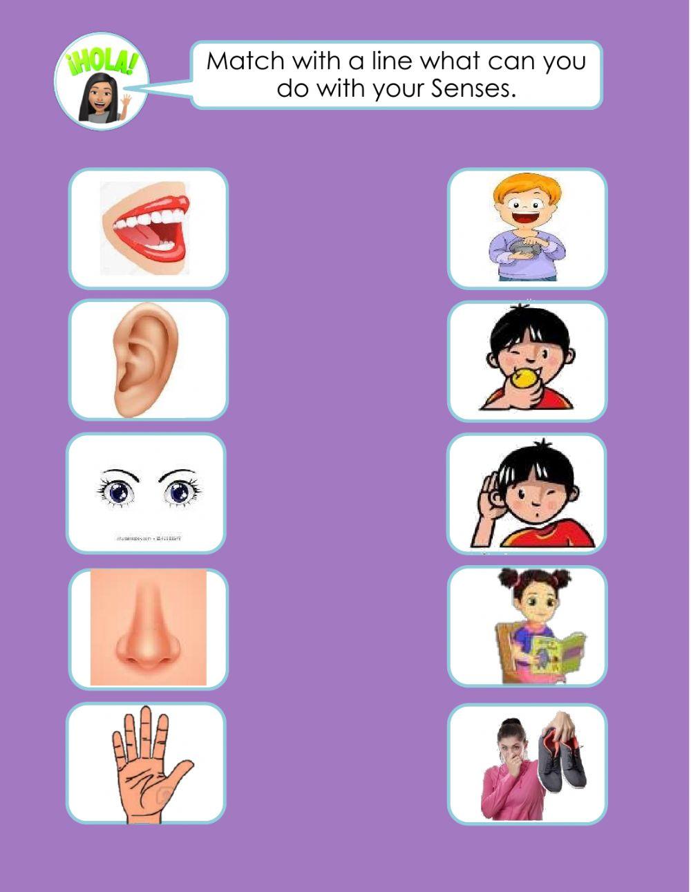 Language Evaluation worksheet | Live Worksheets