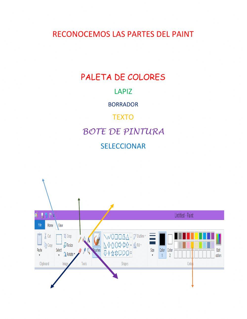 Partes del Paint | Free Interactive Worksheets | 329060
