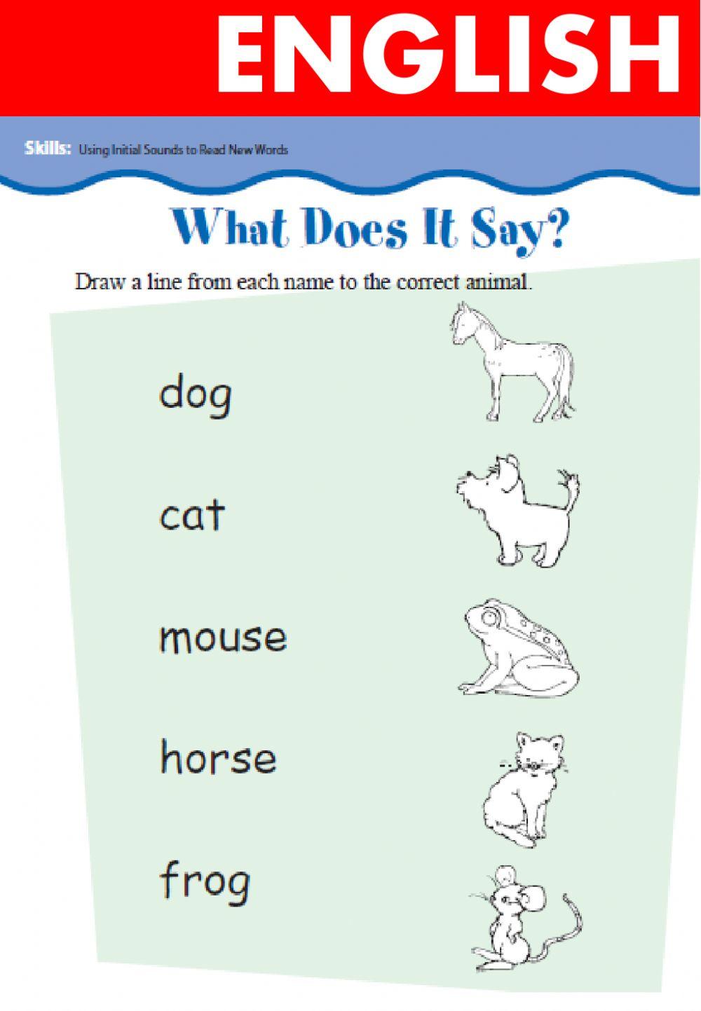 Letter d worksheet | Live Worksheets