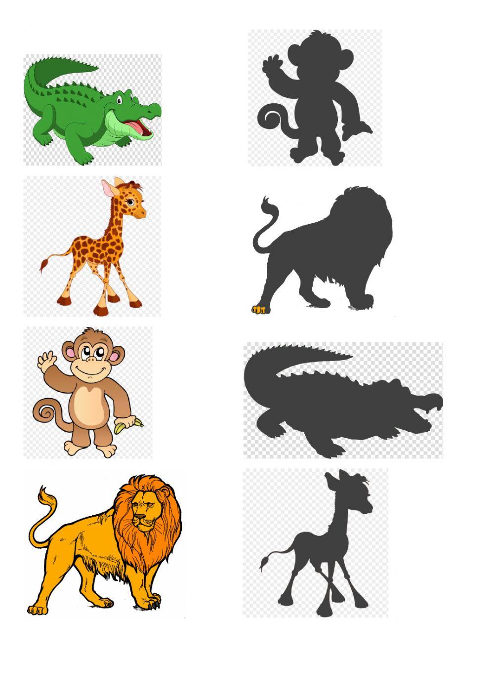Animals and the… | Free Interactive Worksheets | 329862
