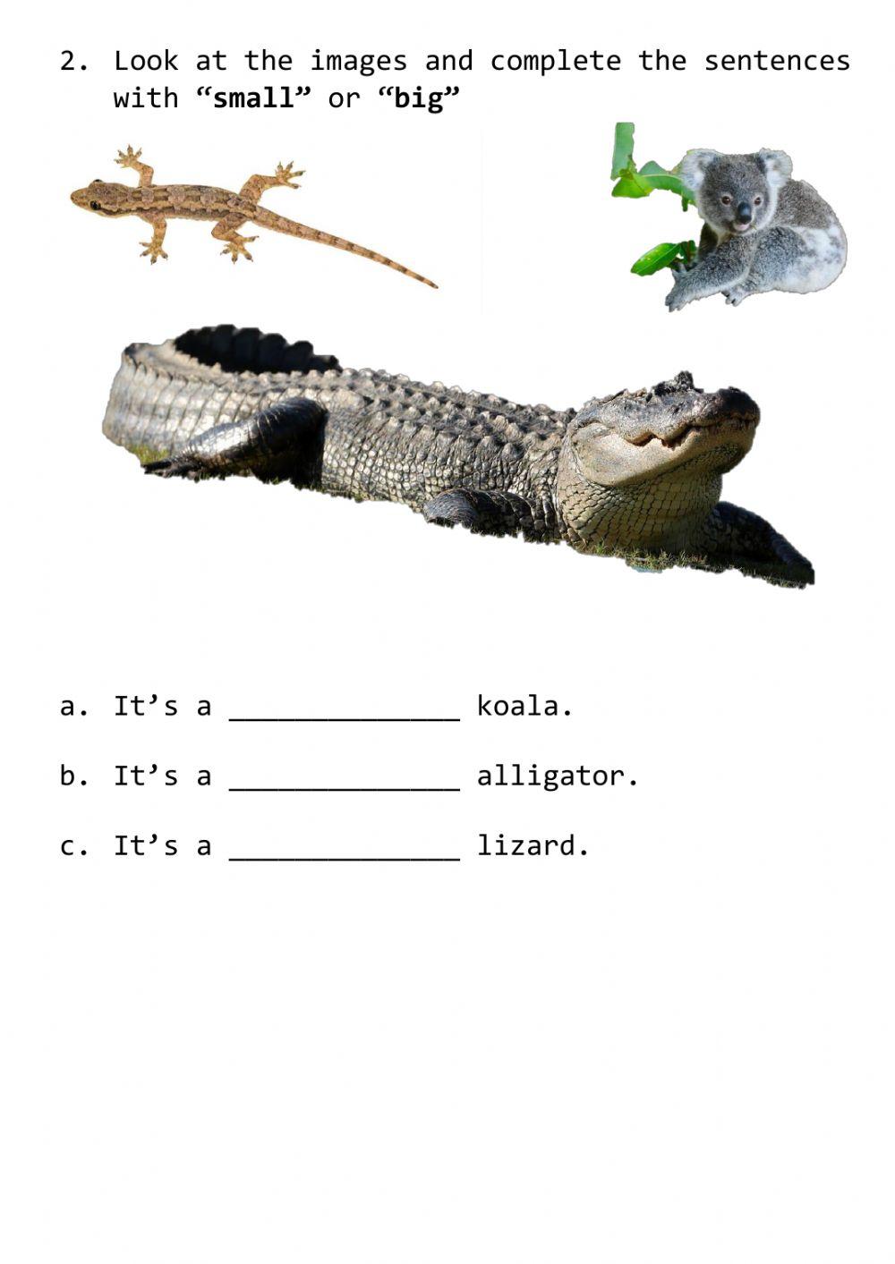 Wild Animal activity | Live Worksheets