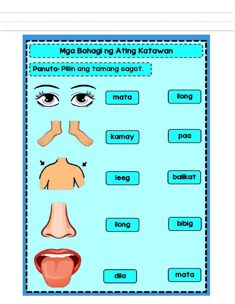 Bahagi ng Katawan and Big, bigger, biggest 5949888