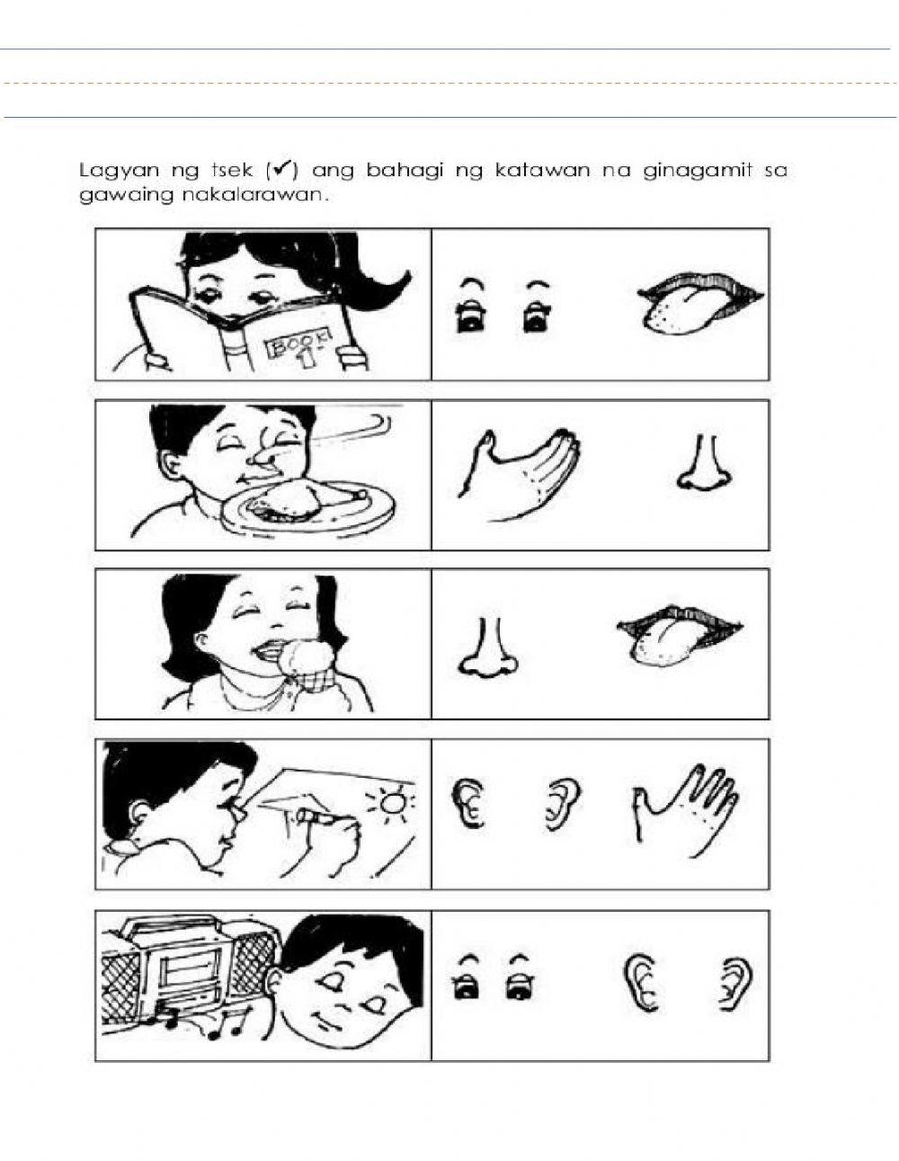 Bahagi ng Katawan and Big, bigger, biggest 5949888