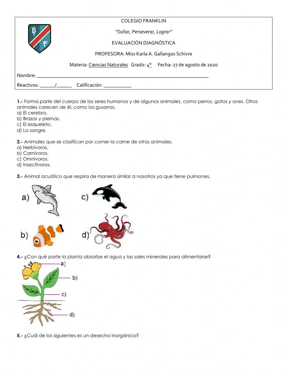 DIAGNÓSTICO CIE… | Free Interactive Worksheets | 5952741