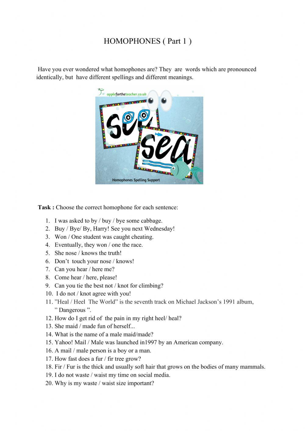 Homophones online pdf exercise | Live Worksheets