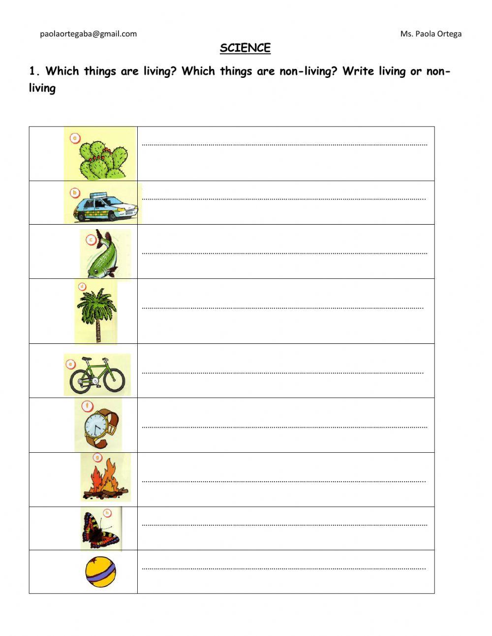 Living - Non-living worksheet | Live Worksheets