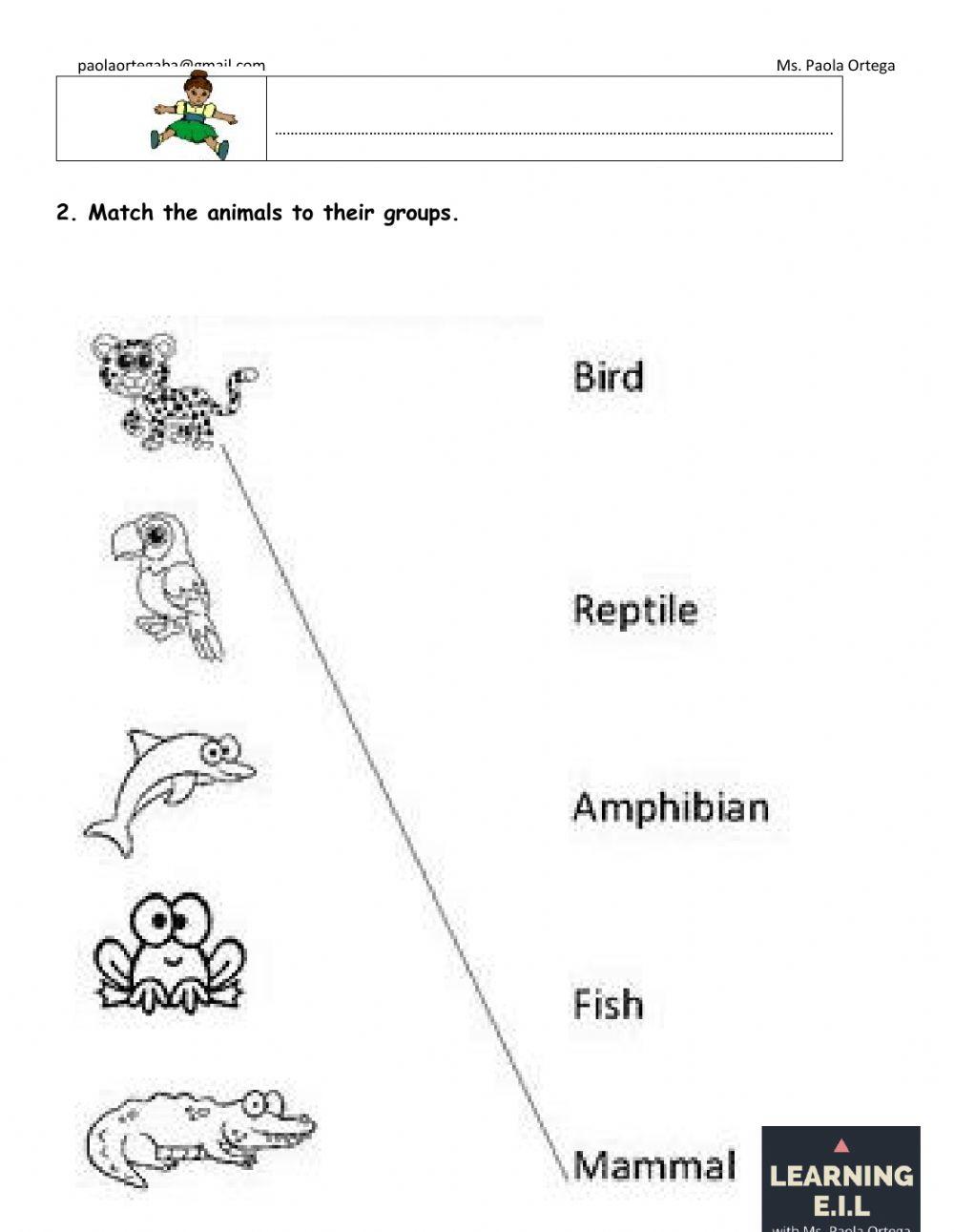 Living - Non-living worksheet | Live Worksheets