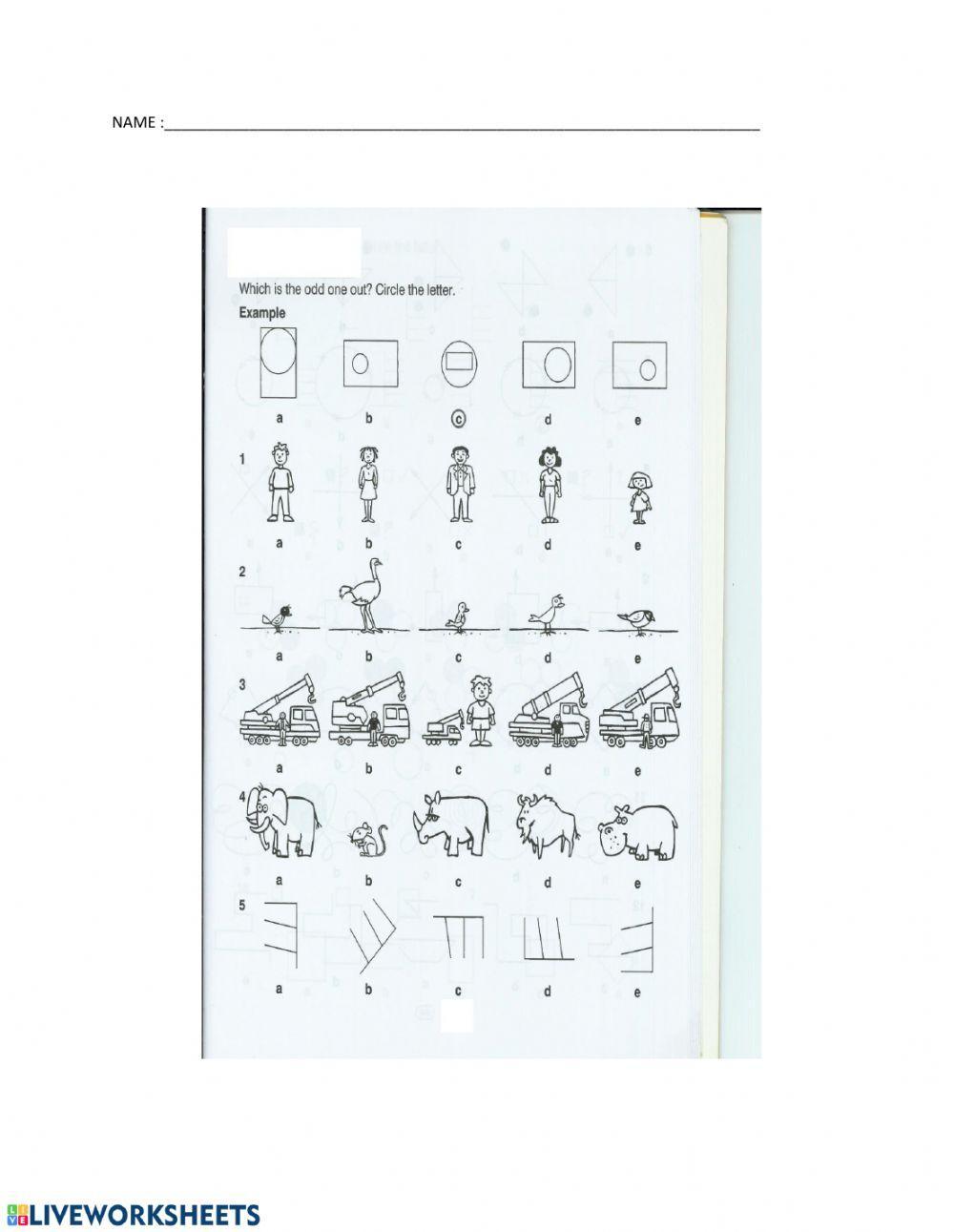 333403 | Non-Verbal Reasoning | Habeesal