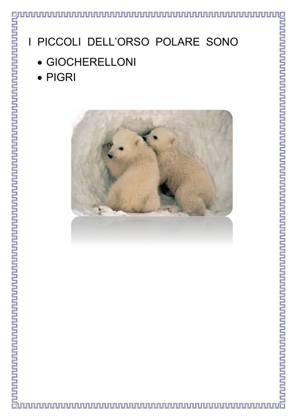 L'orso polare | Free Interactive Worksheets | 701873