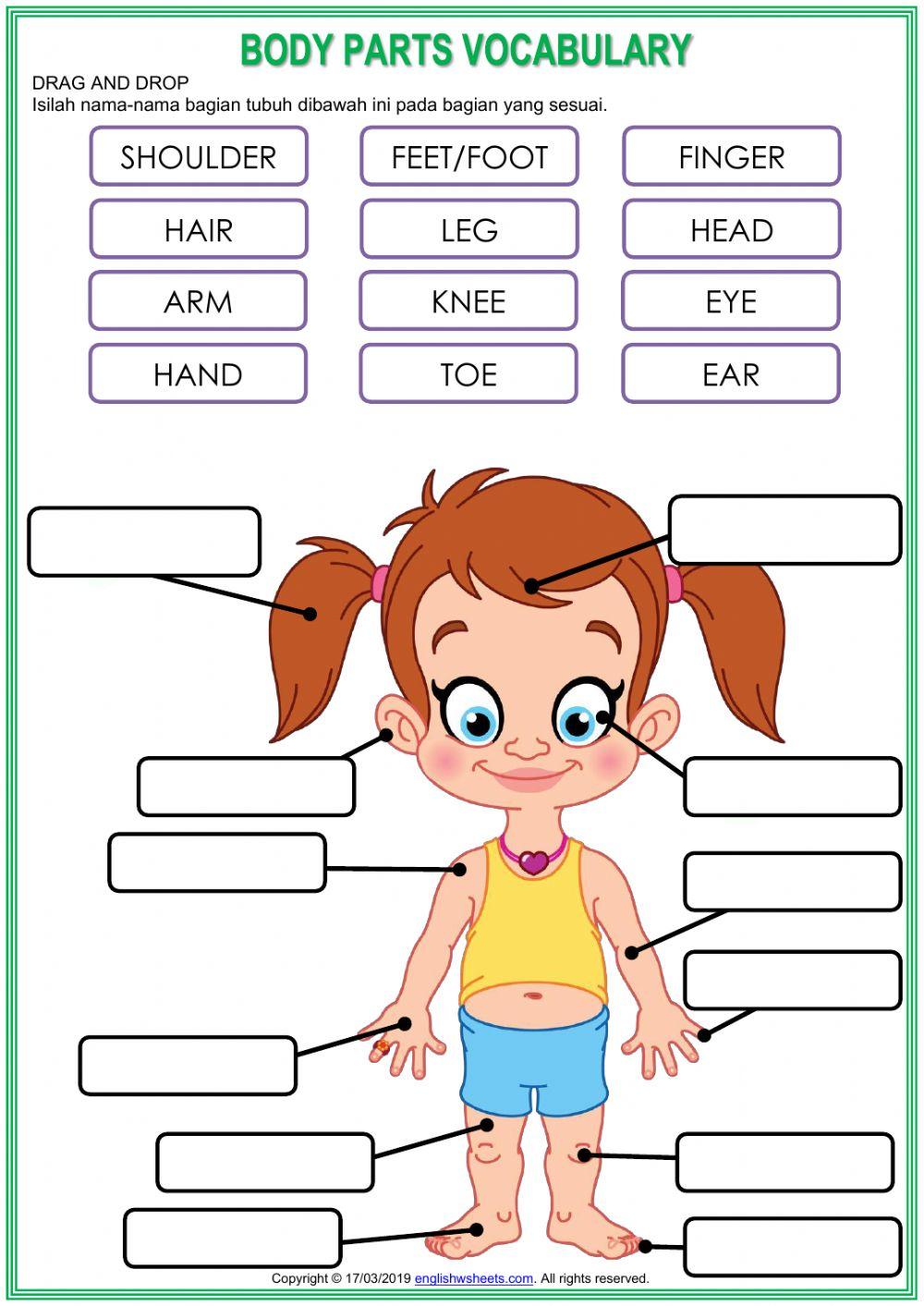 6639777 | Parts of Our Body | Pramesti | LiveWorksheets