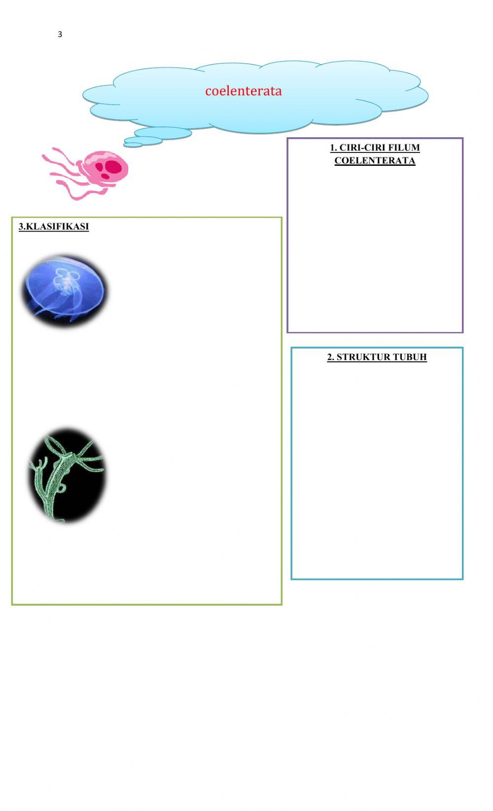 LKPD kingdom animalia worksheet | Live Worksheets