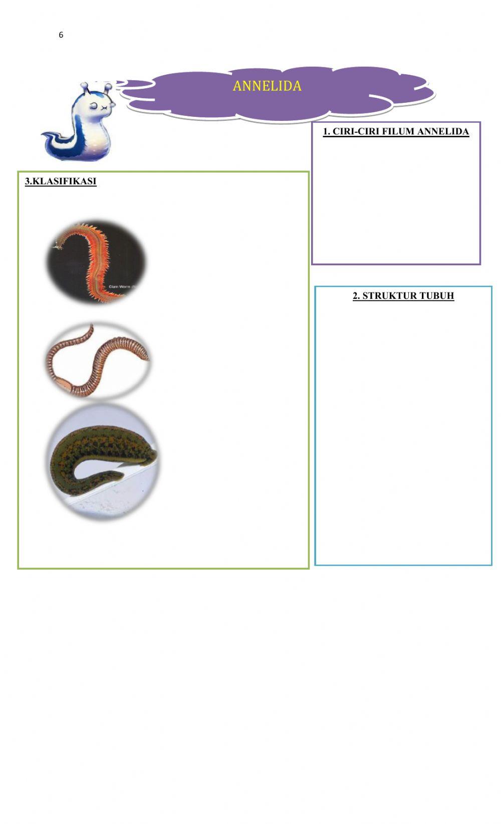 LKPD kingdom animalia worksheet | Live Worksheets