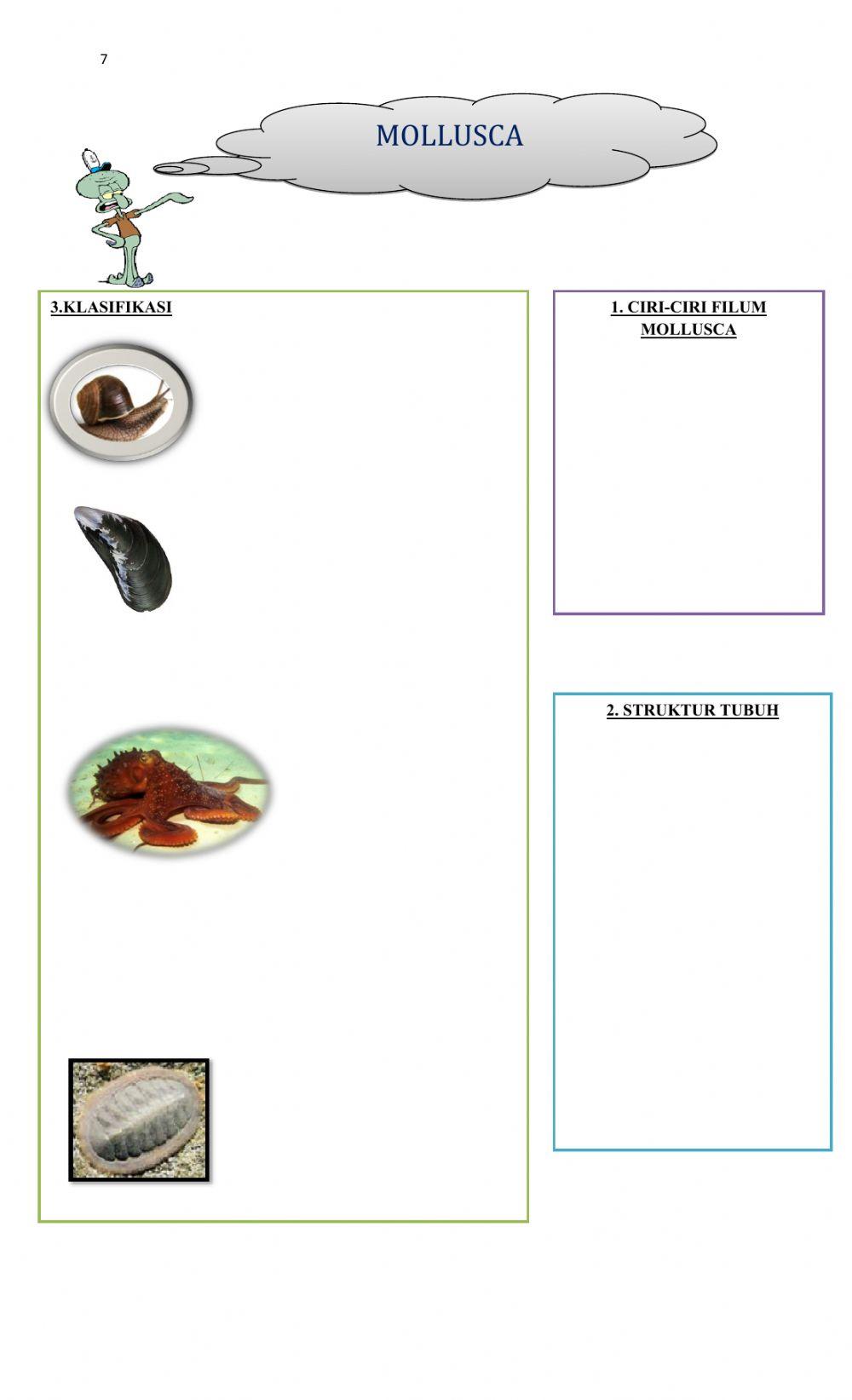 LKPD kingdom animalia worksheet | Live Worksheets
