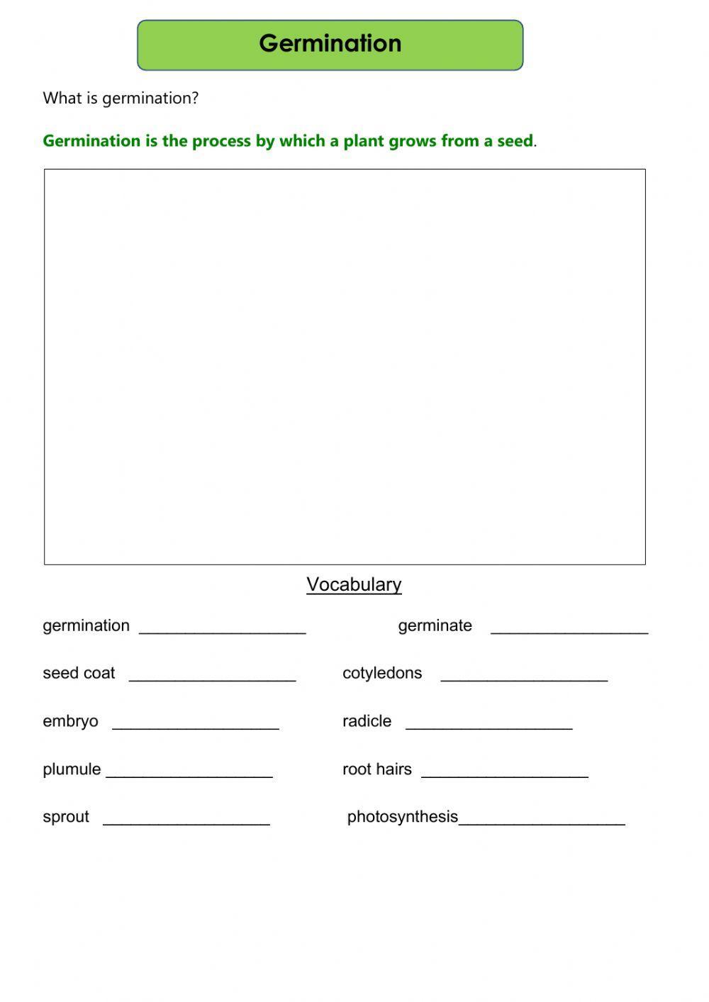 Germination - P… | Free Interactive Worksheets | 337446