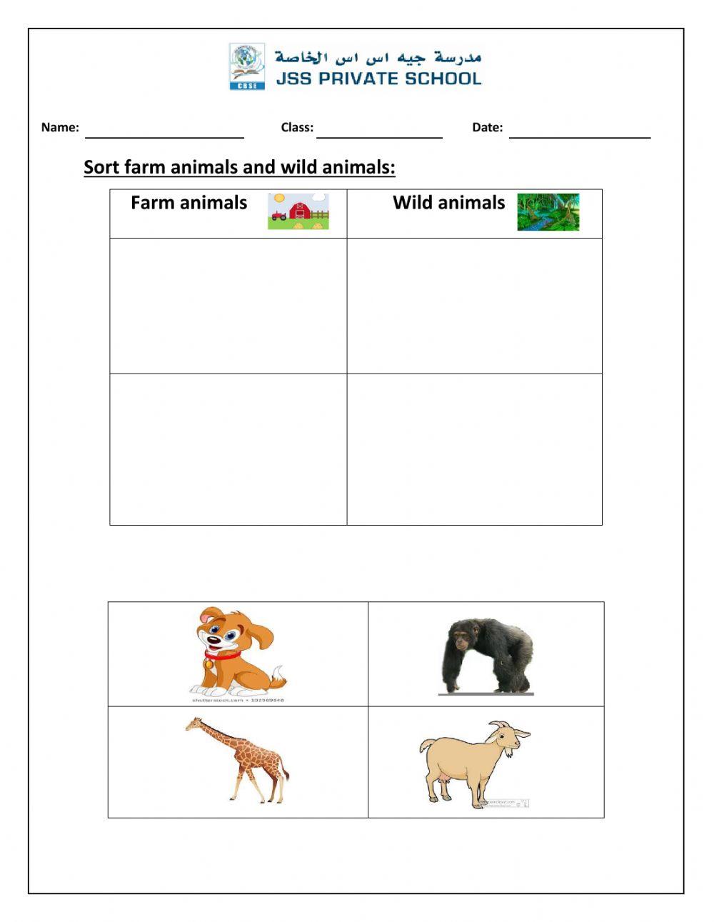 Animal worksheet worksheet | Live Worksheets