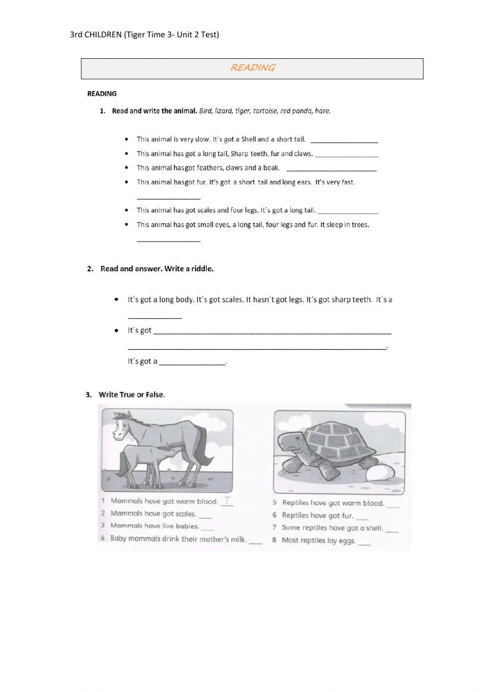 TIGER TIME 3 UN… | Free Interactive Worksheets | 5964297