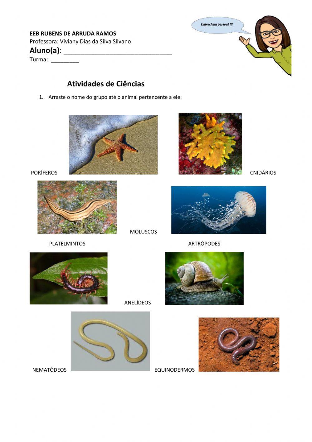 Invertebrados interactive exercise | Live Worksheets