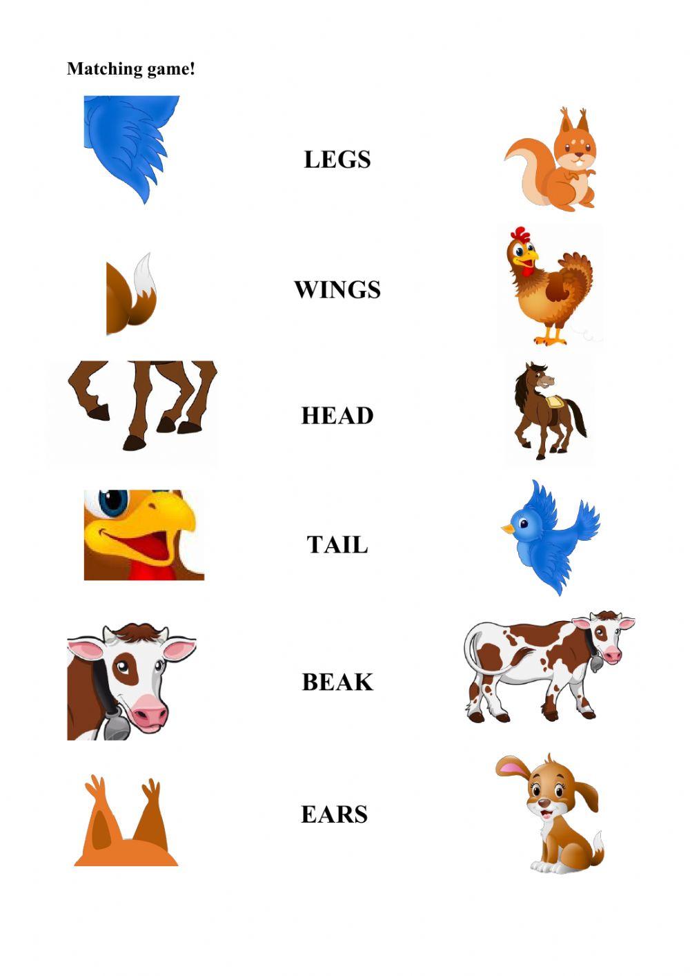 Matching game animals 2753 | GiovannaGueiros | Live