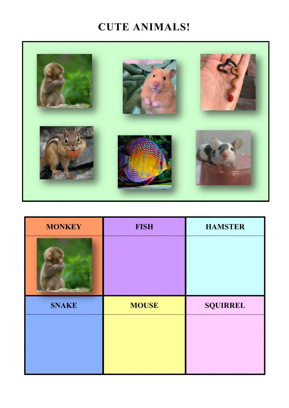 Cure animals worksheet | Live Worksheets