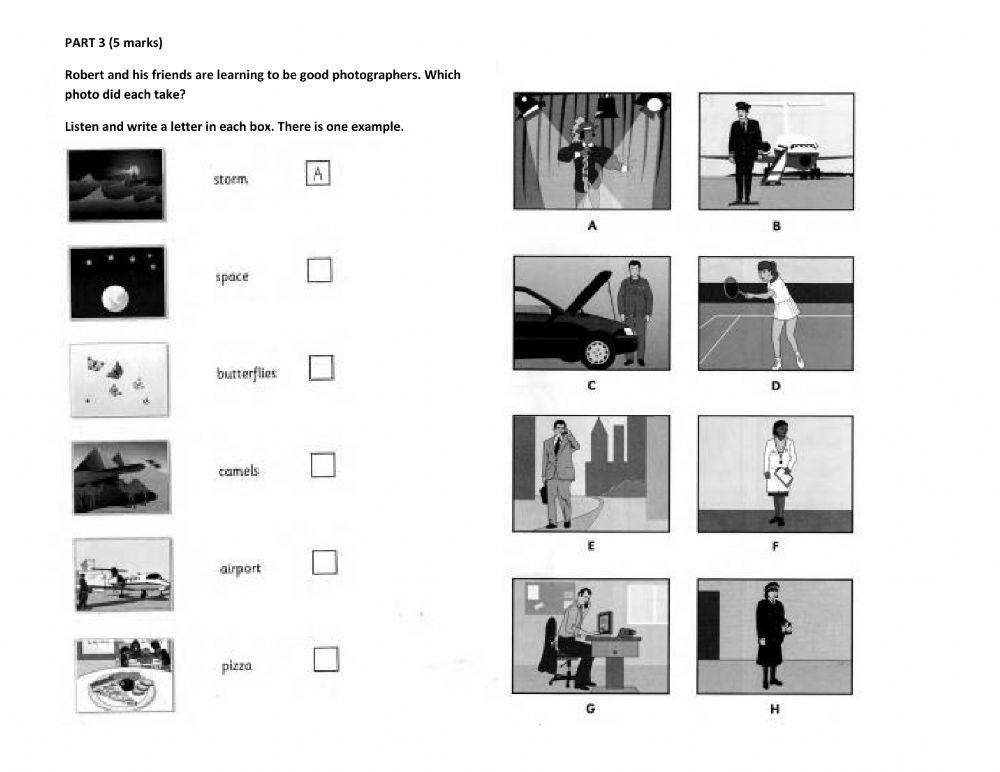 Mid year exam interactive worksheet | Live Worksheets