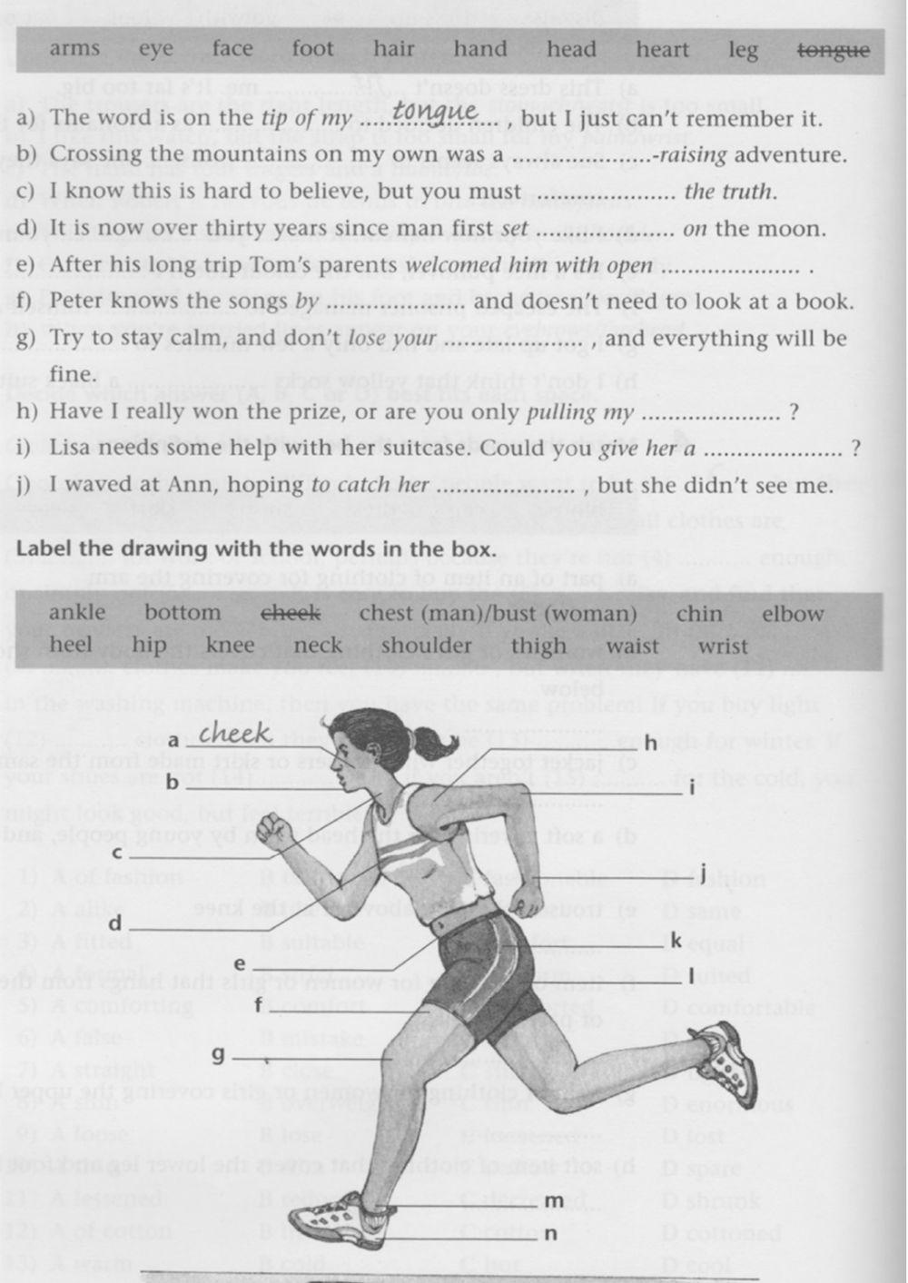 Vocabulary: The body and clothes - B1 online exercise for | Live Worksheets