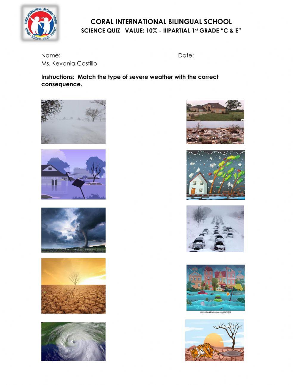 Science Quiz interactive activity | Live Worksheets