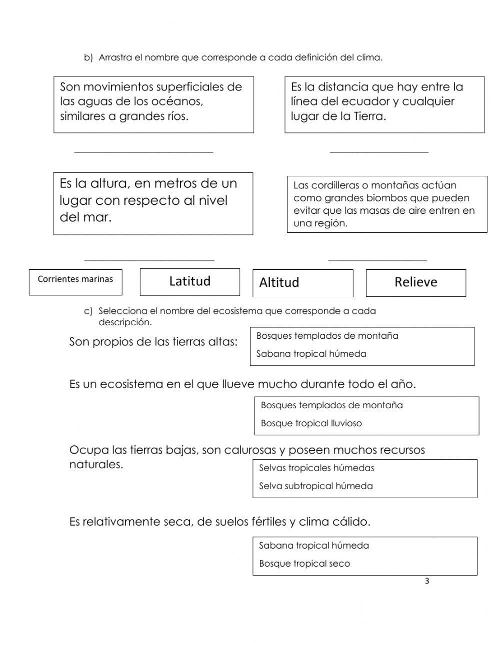 Diagnóstico Cie… | Free Interactive Worksheets | 5924112