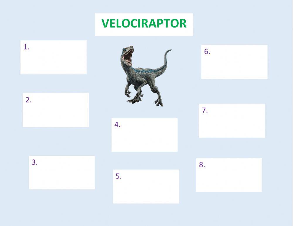 Velociraptor 0510 | TeacherSilviaG | Live Worksheets