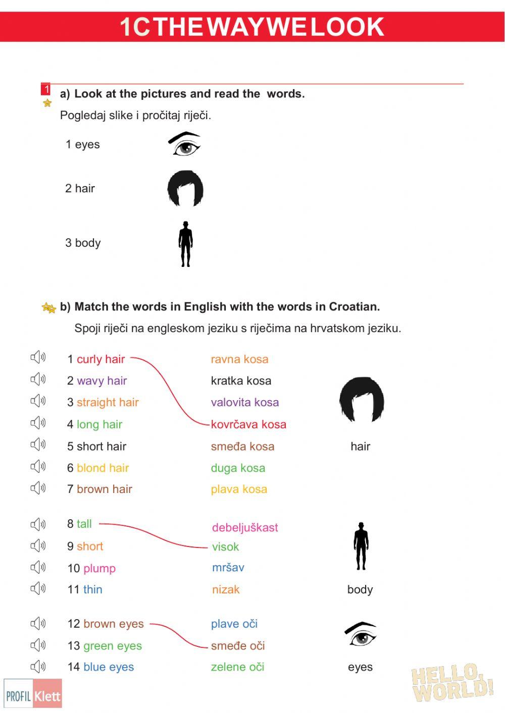HW5-SEN-Unit1-1C-The way we look worksheet | Live Worksheets