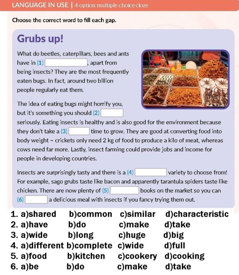 Multiple Choice Cloze - Grubs up! worksheet | Live Worksheets