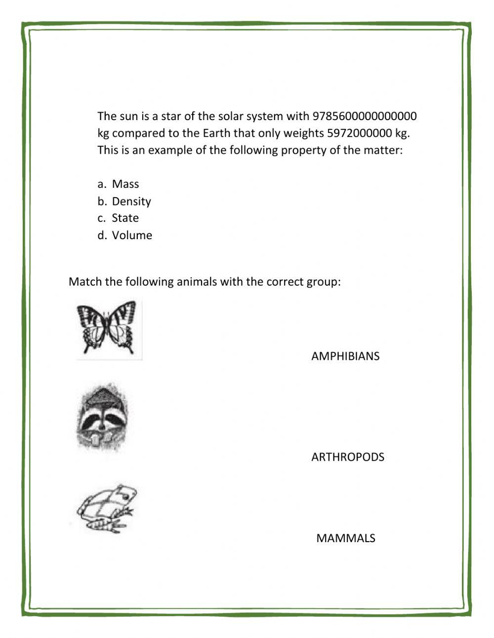 Science workshop ii term worksheet | Live Worksheets