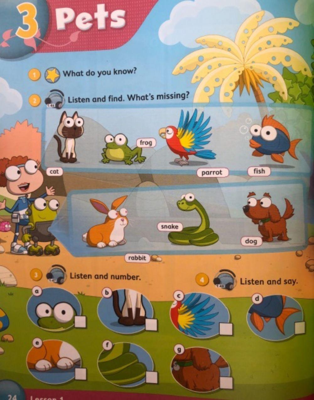 Page 24. Pets. | Free Interactive Worksheets | 5929392