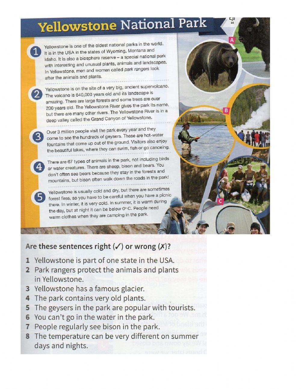 A2 reading | Free Interactive Worksheets | 345393