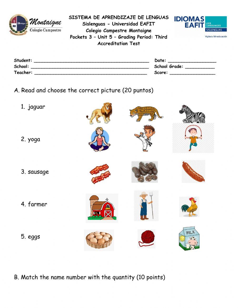 Accreditation Test Third Term 2020 worksheet | Live Worksheets